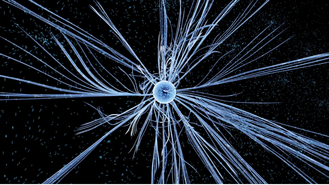 The Tendrils of Sacred Time and Space | The Blog of Baphomet